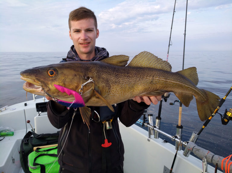 Dorsch-mit-80-cm - Fjordtun